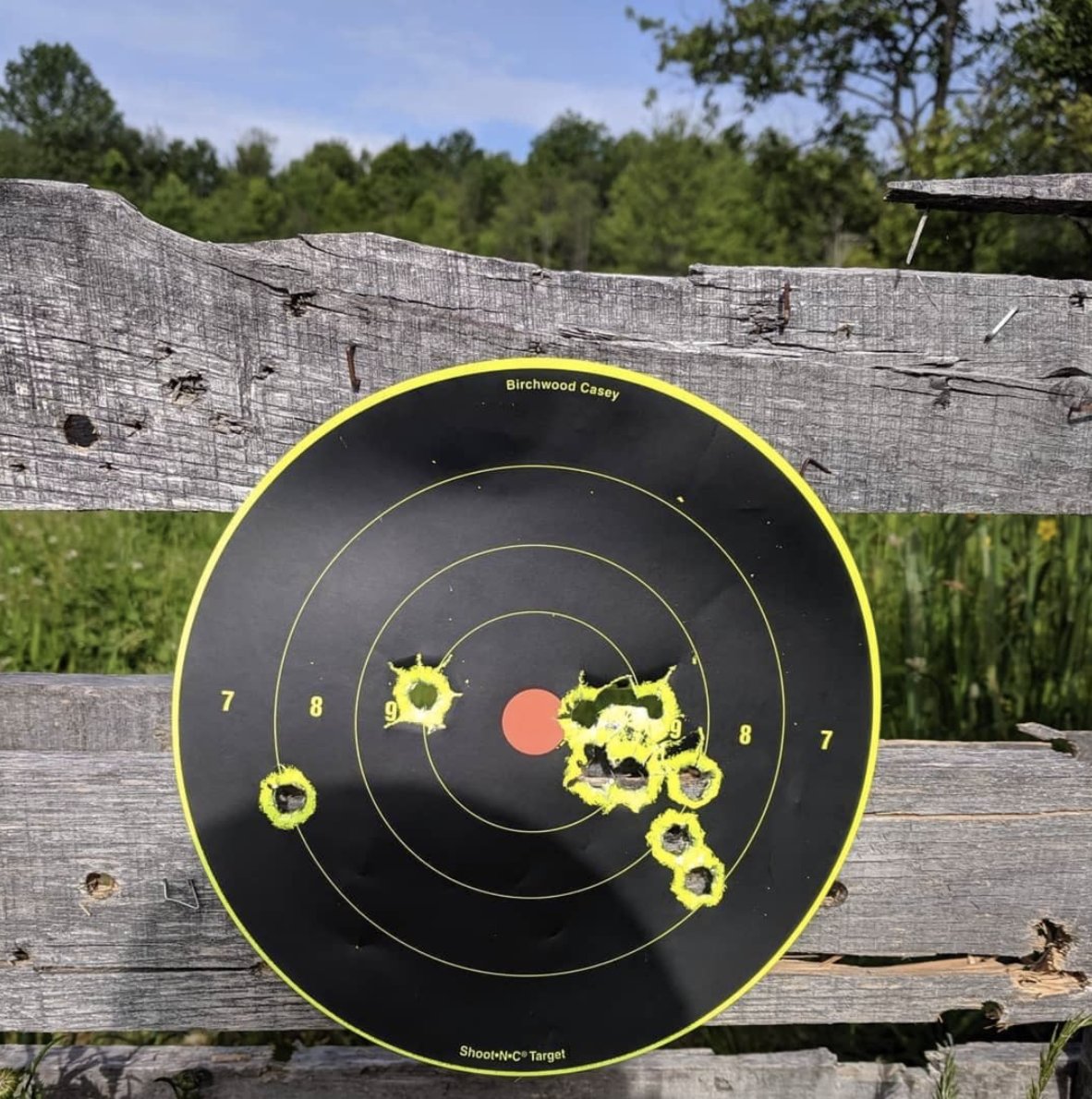 Shooting & Archery Targets | Mansfield Hunting & Fishing