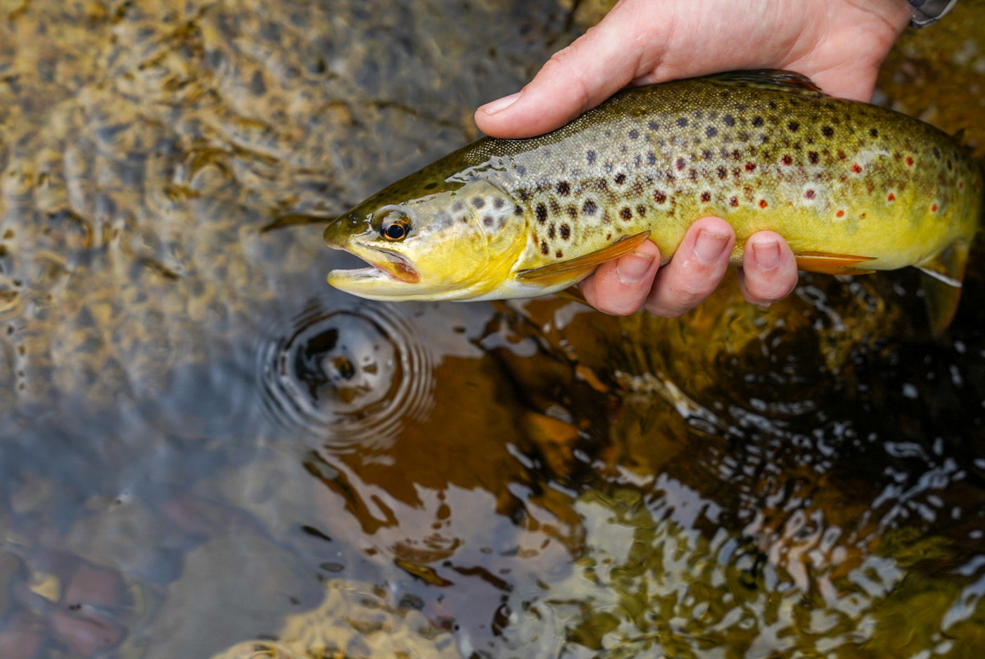 Shop Hunting Gear Online - Mansfield Hunting & Fishing - Australia